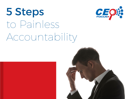 5 Steps to Painless Accountability - CEO FOCUS LLC